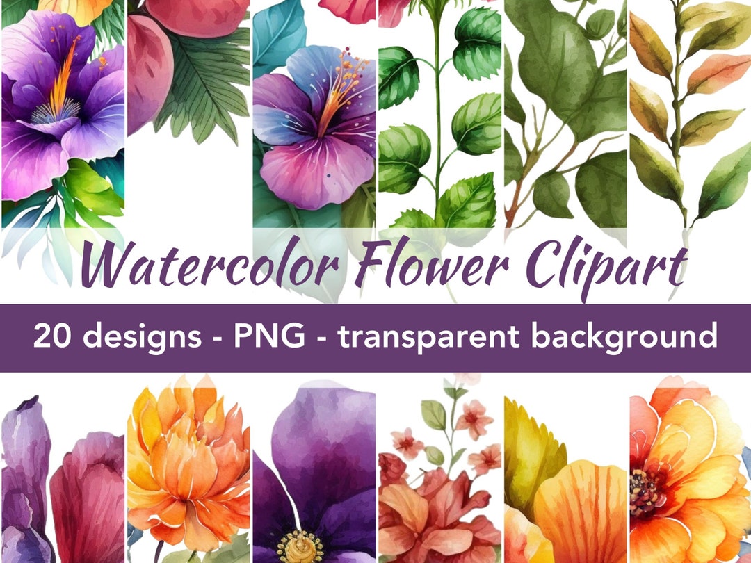 Clipart Wild Flowers Colorful Watercolor Flowers PNG Files - Etsy