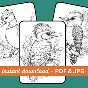 Cute Forest Animals Coloring Pages | Adult Coloring Book | 55 Coloring ...