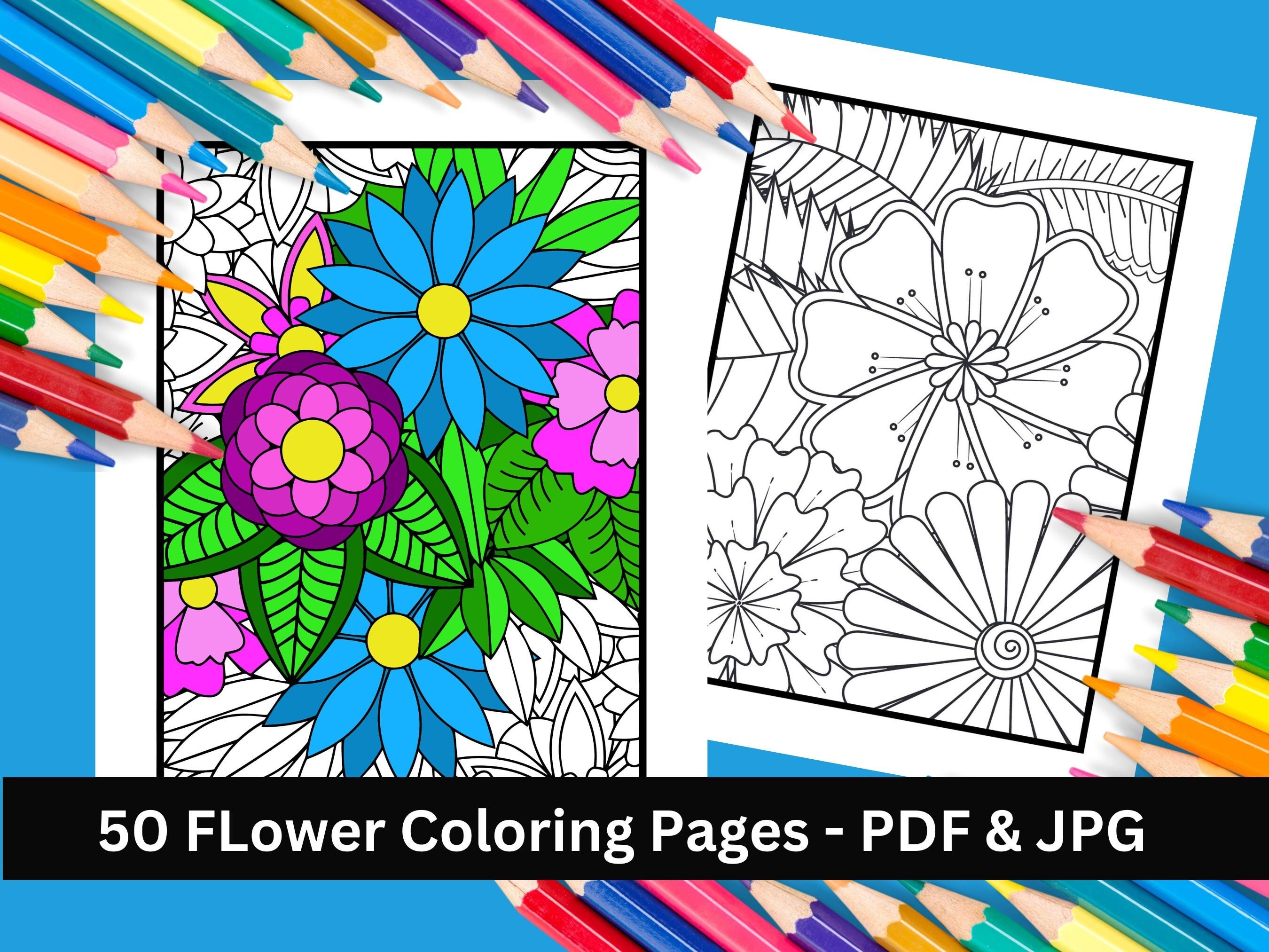 Beautiful Flower Coloring Pages Adult Coloring Book Pages 50 Digital ...