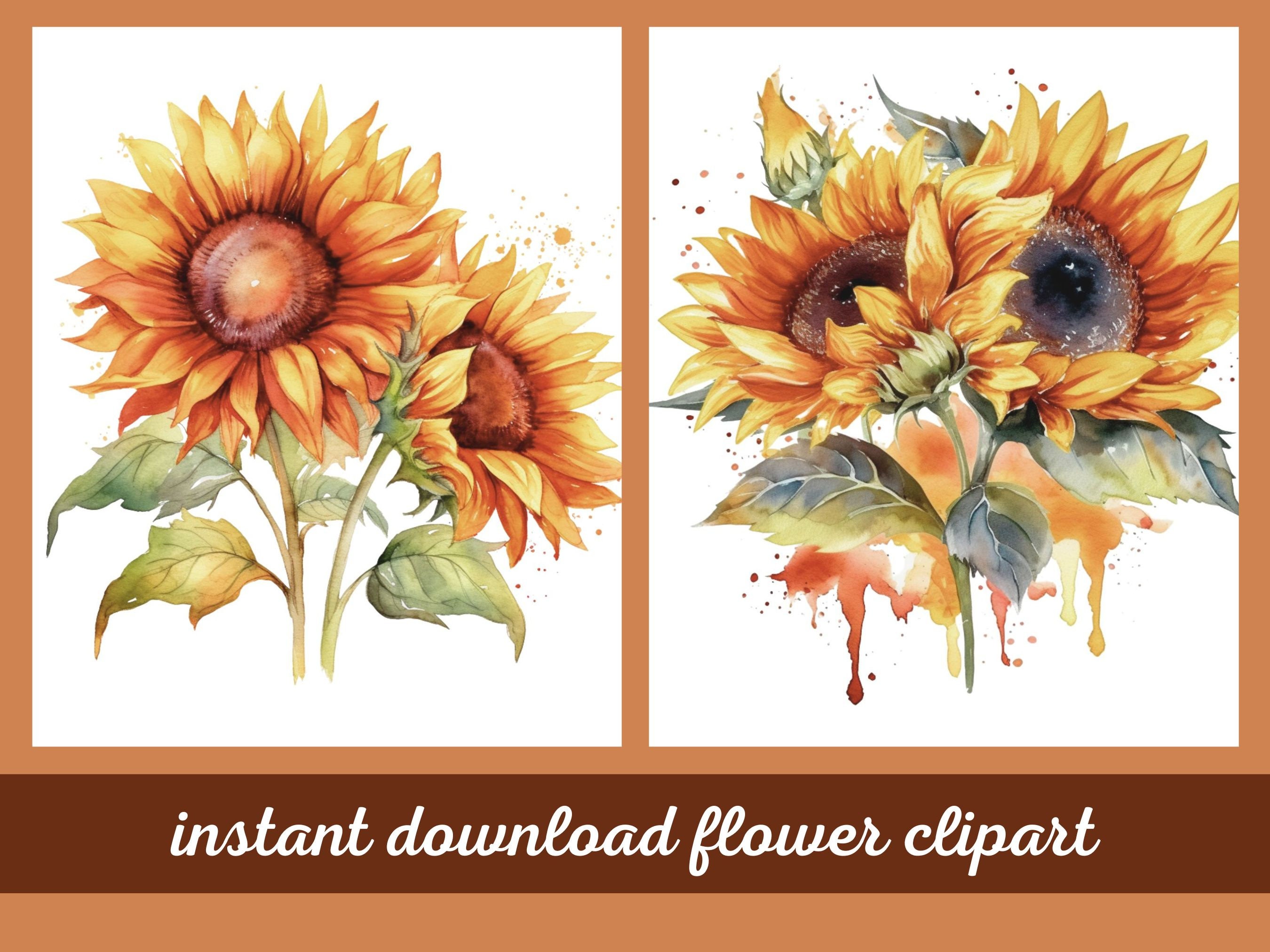 Yellow Sunflower Clipart Designs, 20 Digital Floral Images, Instant ...
