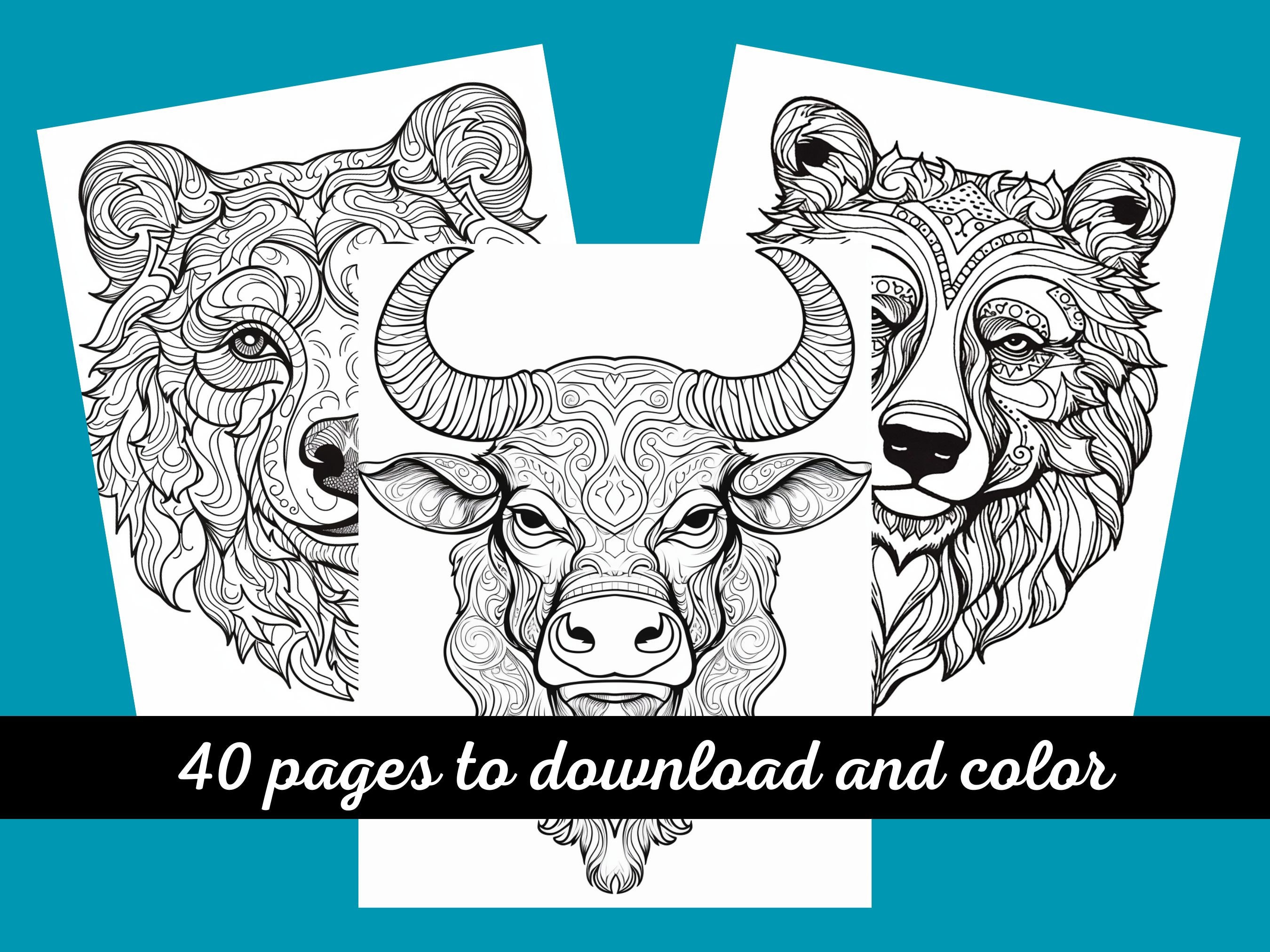 Forrest Mandala Animal Coloring Pages 40 Digita Pages for - Etsy