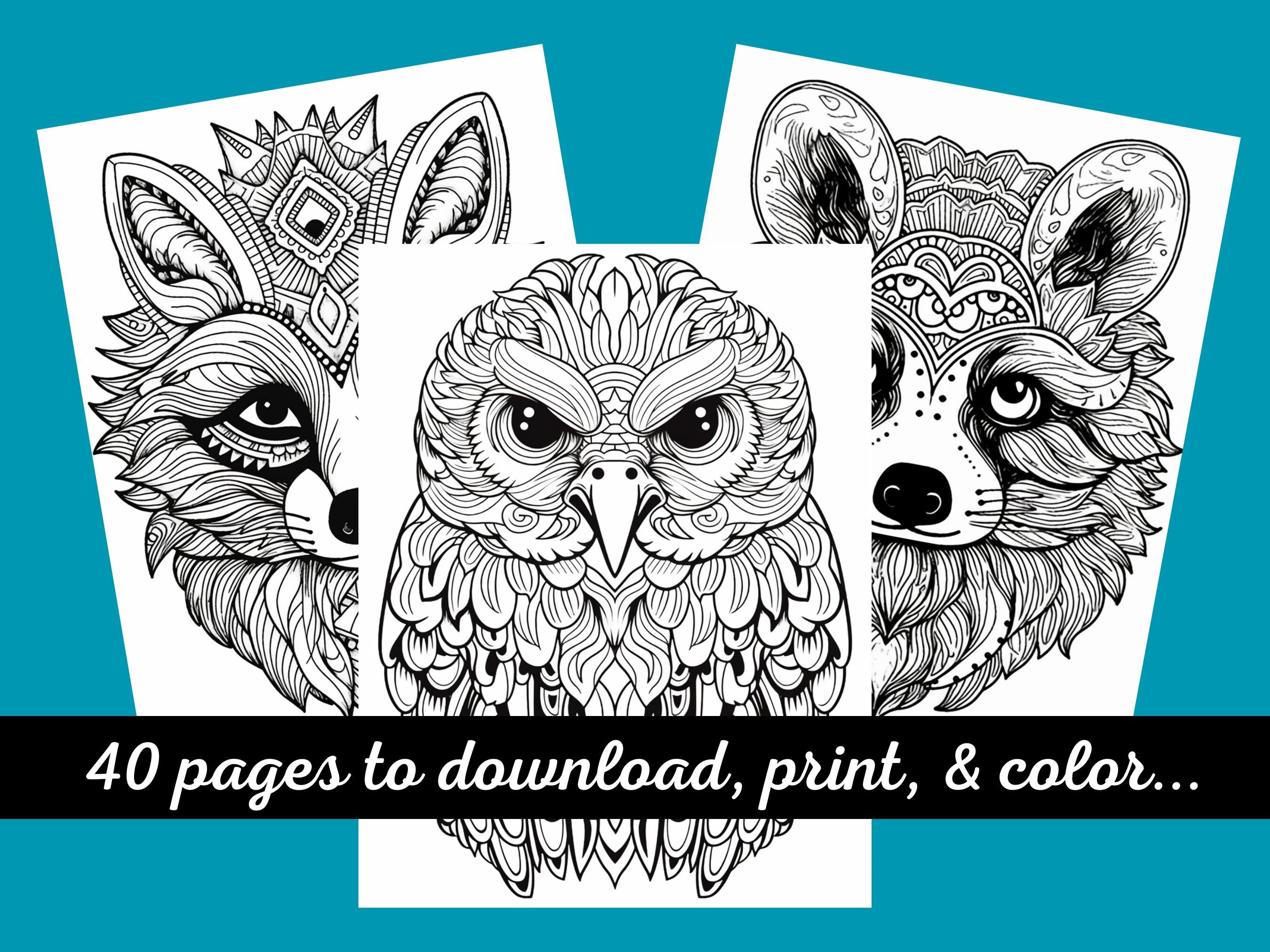 Forrest Mandala Animal Coloring Pages 40 Digita Pages for - Etsy