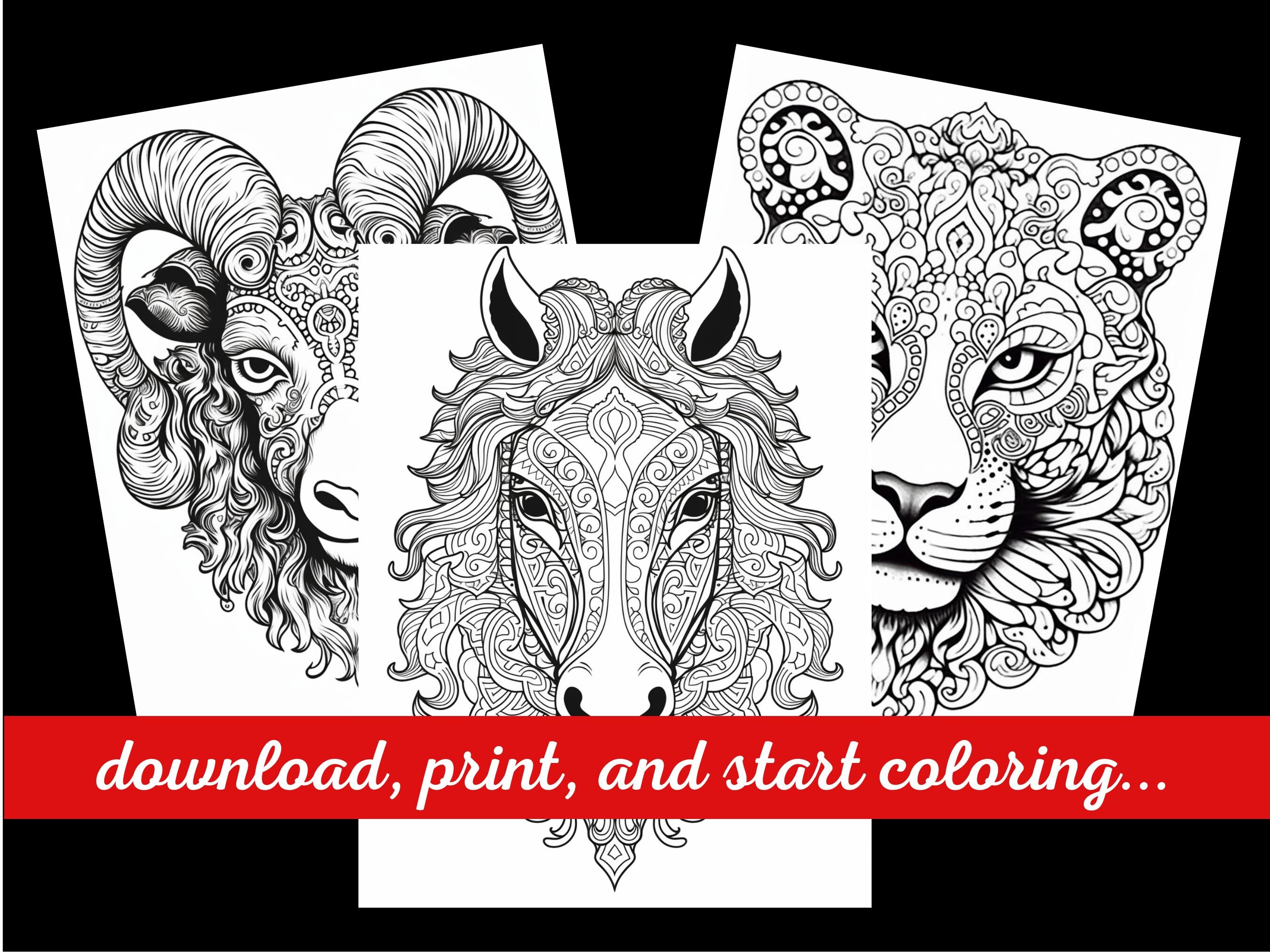 Whimsical Mandala Animal Coloring Pages 50 Instant Downloads for Adults ...