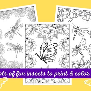 Butterfly Coloring Pages: Blooms, Bees, Bugs - 50 Printable Sheets (PDF ...