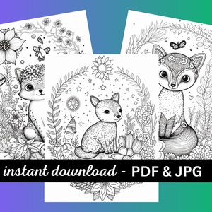 Whimsical Animals and Scenes Fantasy Coloring Book 50 - Etsy