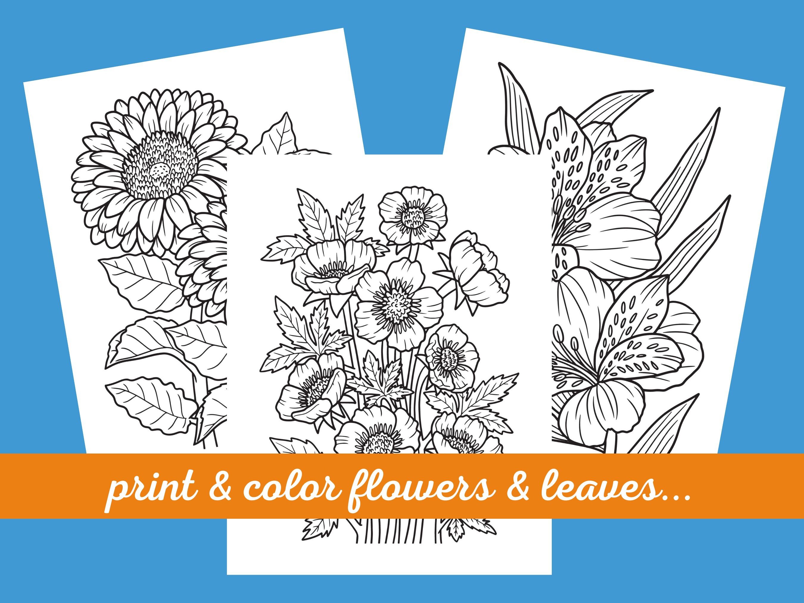50 Pages of Flowers to Color Adult Coloring Book 50 - Etsy