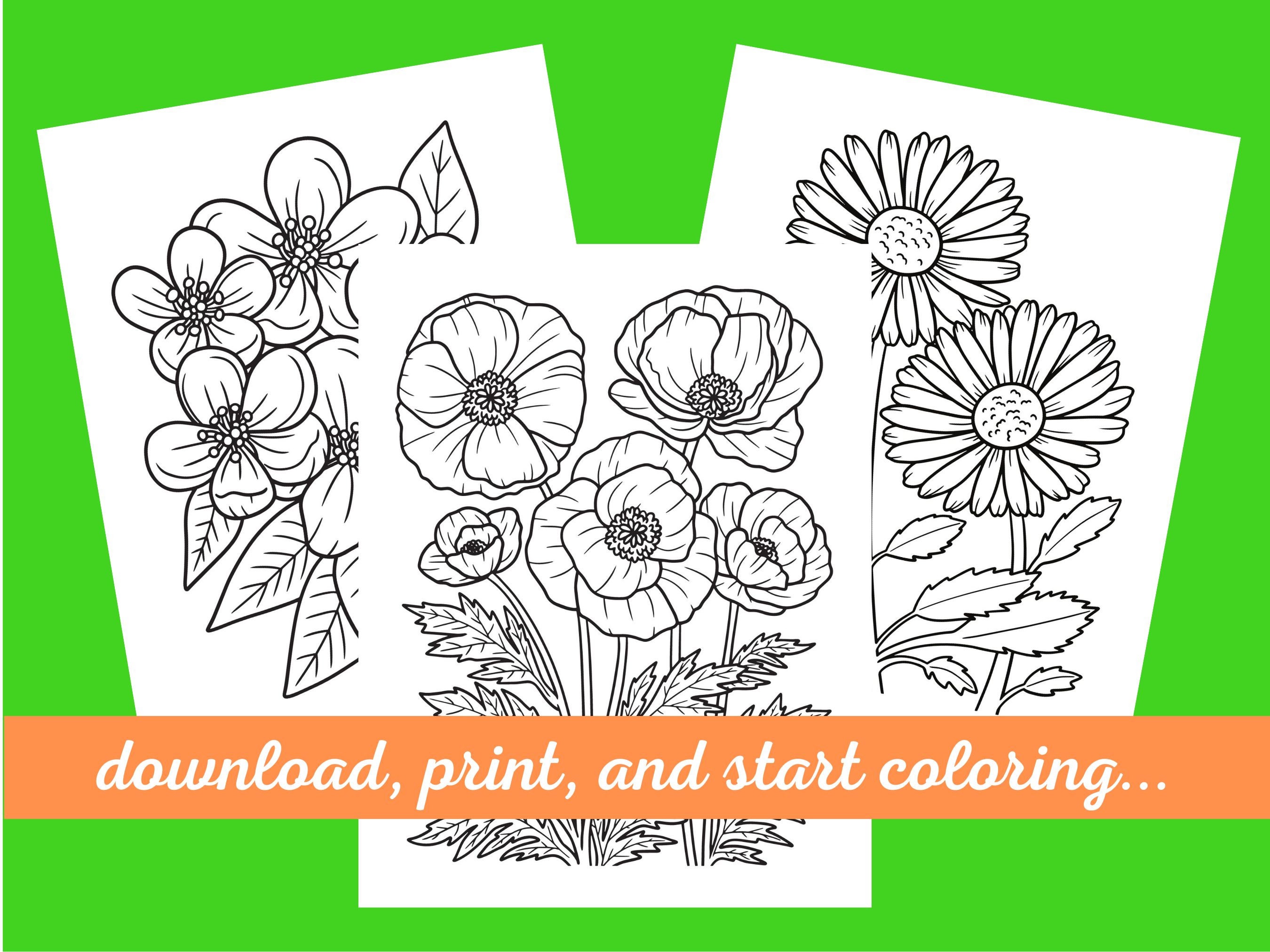 50 Pages of Flowers to Color Adult Coloring Book 50 - Etsy
