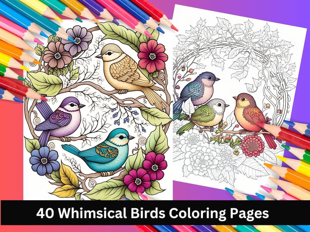 40 Pages of Whimsical Birds and Flowers | Creative Coloring Book | 40 ...