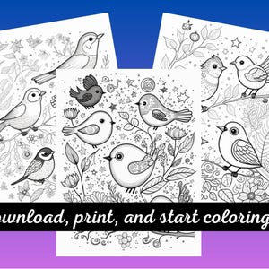 Whimsical Birds and Flowers Coloring Book: 40 Printable Pages (PDF ...