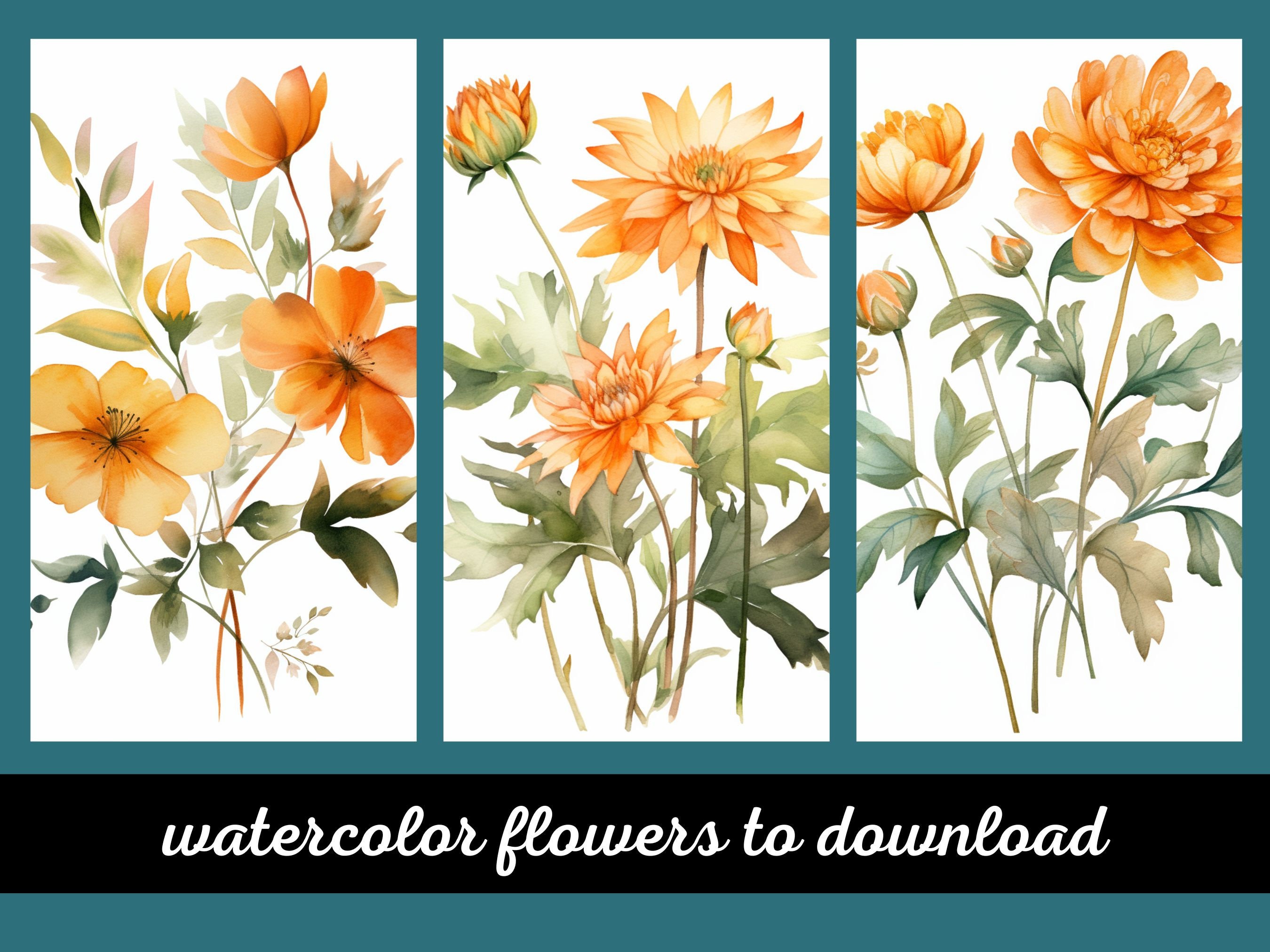 Clipart Colorful Watercolor Flowers, 20 Digital Images of Wild Flowers ...