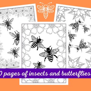 Butterfly Coloring Pages: Blooms, Bees, Bugs - 50 Printable Sheets (PDF ...