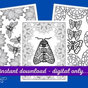 Butterfly Coloring Pages: Blooms, Bees, Bugs - 50 Printable Sheets (PDF ...