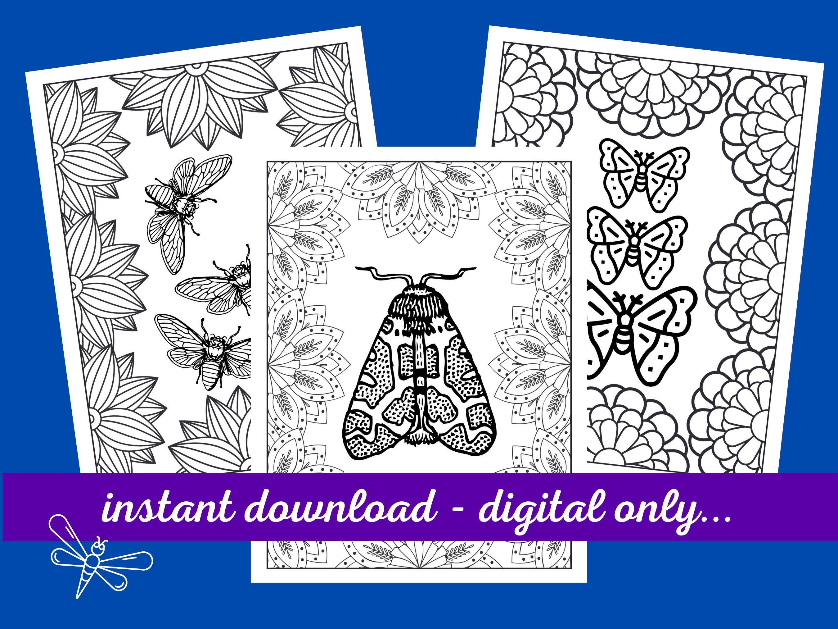 Butterflies, Blooms, Bees, and Bugs Coloring Pages: Adult and Teen ...