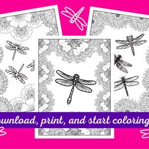 Butterfly Coloring Pages: Blooms, Bees, Bugs - 50 Printable Sheets (PDF ...
