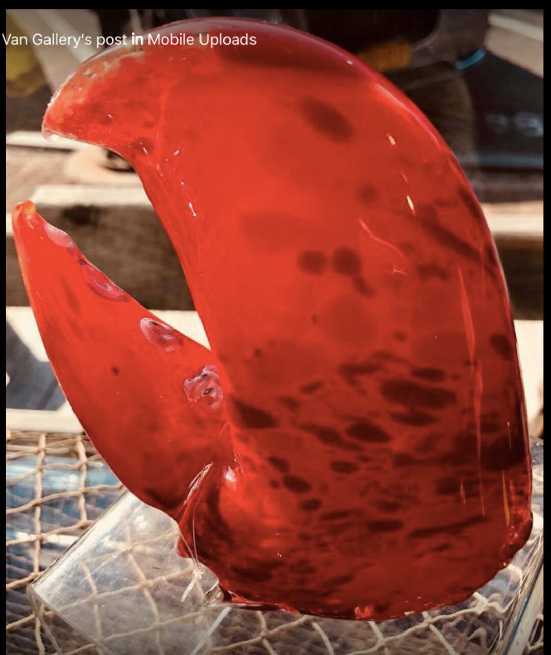 Glass Lobster Claws Various Sizes Blown Glass - Etsy