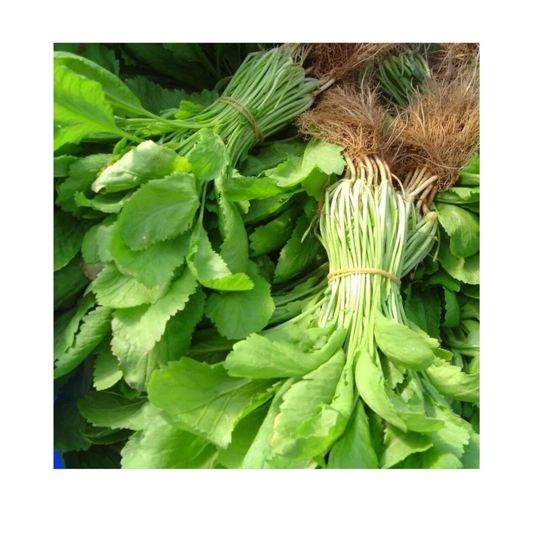 Turkish Tere Seeds ,cress Seeds, Fresh and Natural , Organic , Heirloom ...
