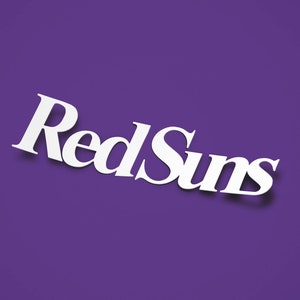 Akagi Redsuns, Initial D Racing Team Replica Vinyl Sticker Decal - JDM ...