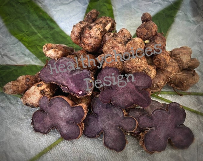 Kaempferia Parviflora Dried Black Galingale Root Herb Rhizomes 50 Grams ...