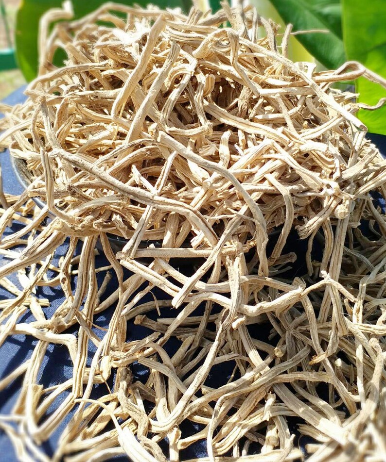 120g Shatavari Root Root Top Thai Herbs for Women Natural - Etsy