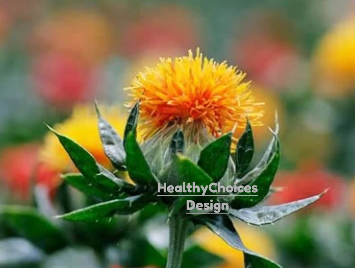 1kg Dried Safflower Tea, Red Drink, Herbal Asian Tea, Dried Flower ...