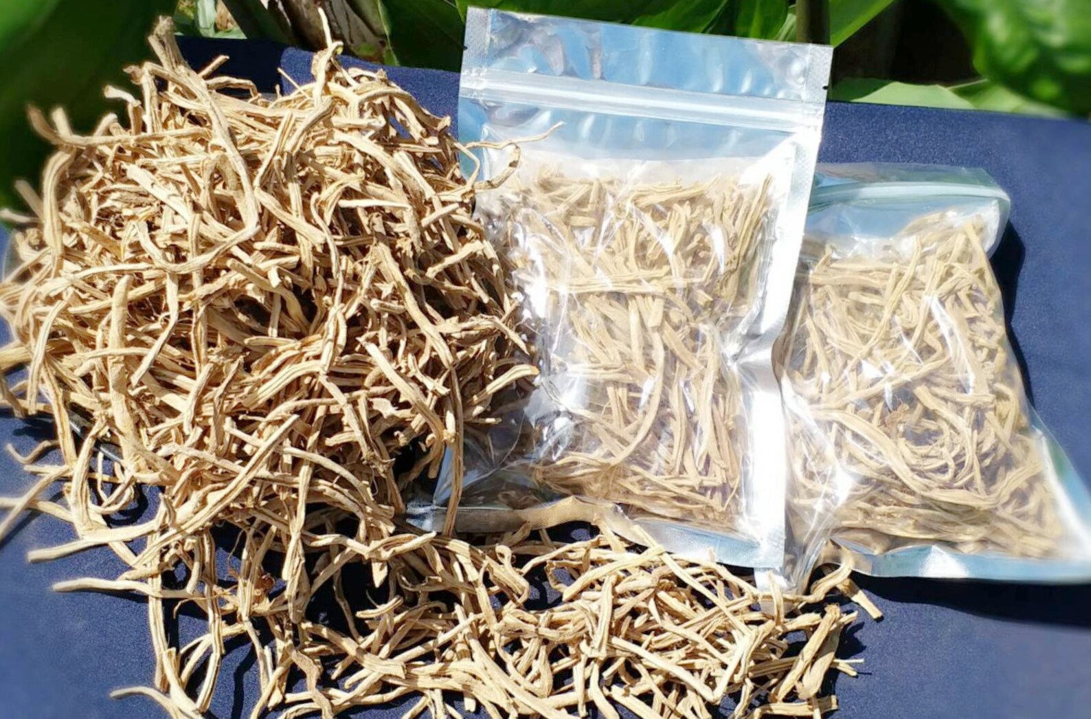 120g Shatavari Root Root Top Thai Herbs for Women Natural - Etsy