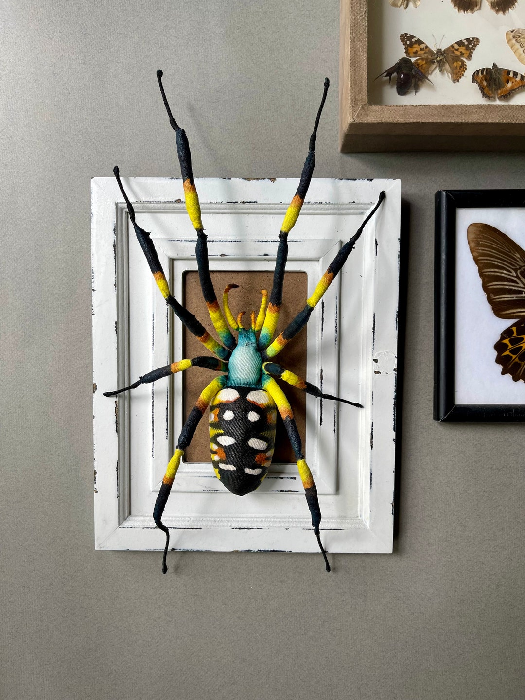Amazing Big Spider , Wall Decoration , Insect Collection , Fabric ...