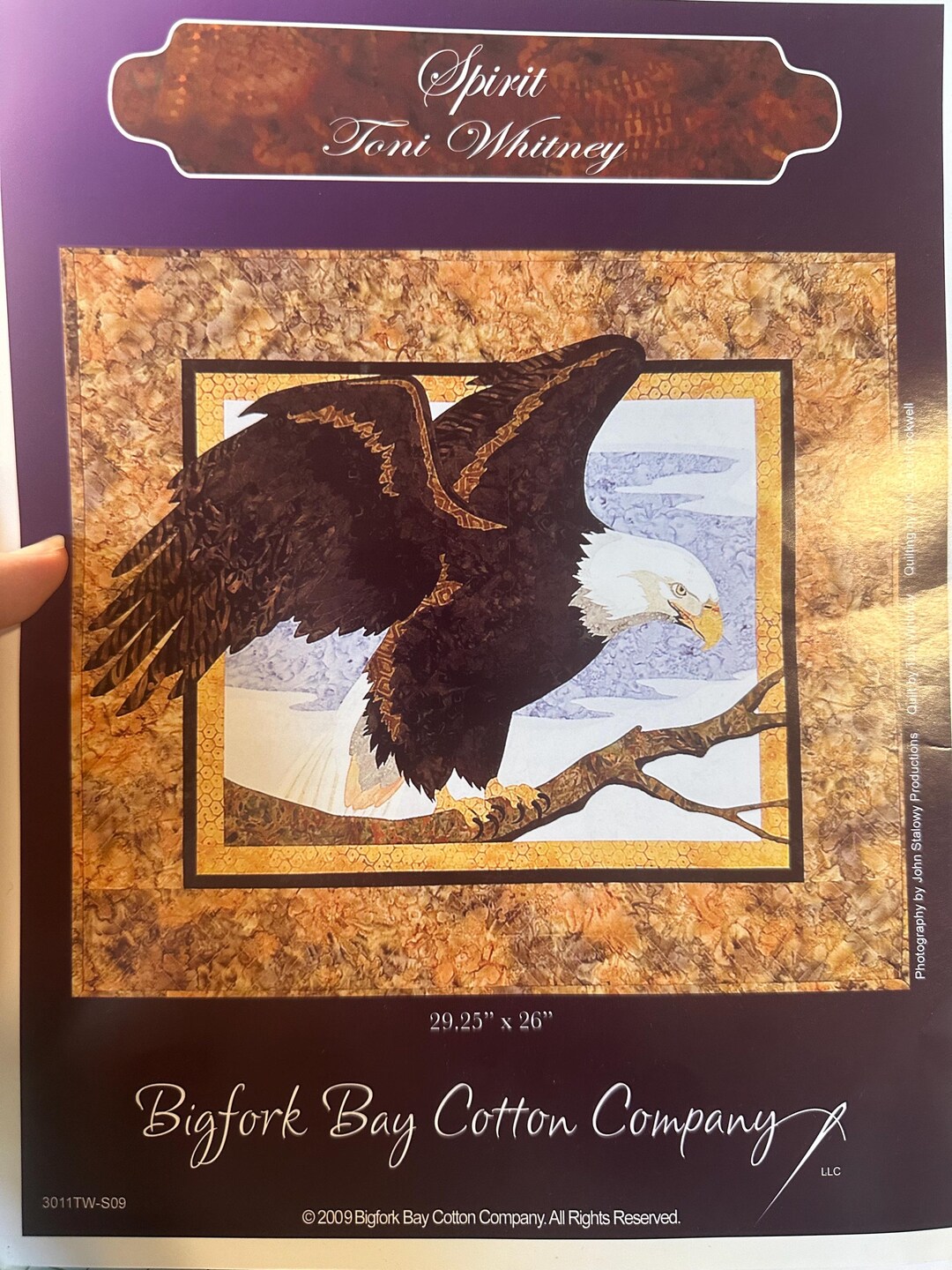 Spirit Wall Hanging Kit by Tony Whitney Eagle Bigfork Bay Co Appliqué ...