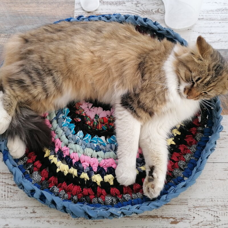 Cat Pod Crochet Pattern - Etsy