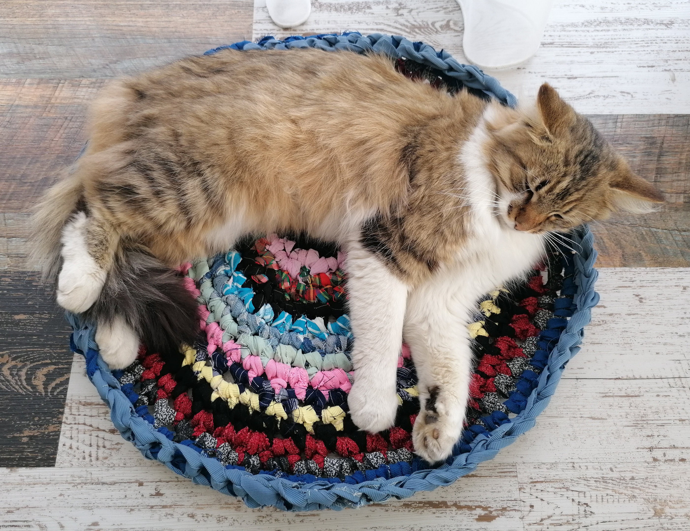 Cat Mat Cat Nip Funny Cat Mat Cat Mat Personalized Cat Play - Etsy