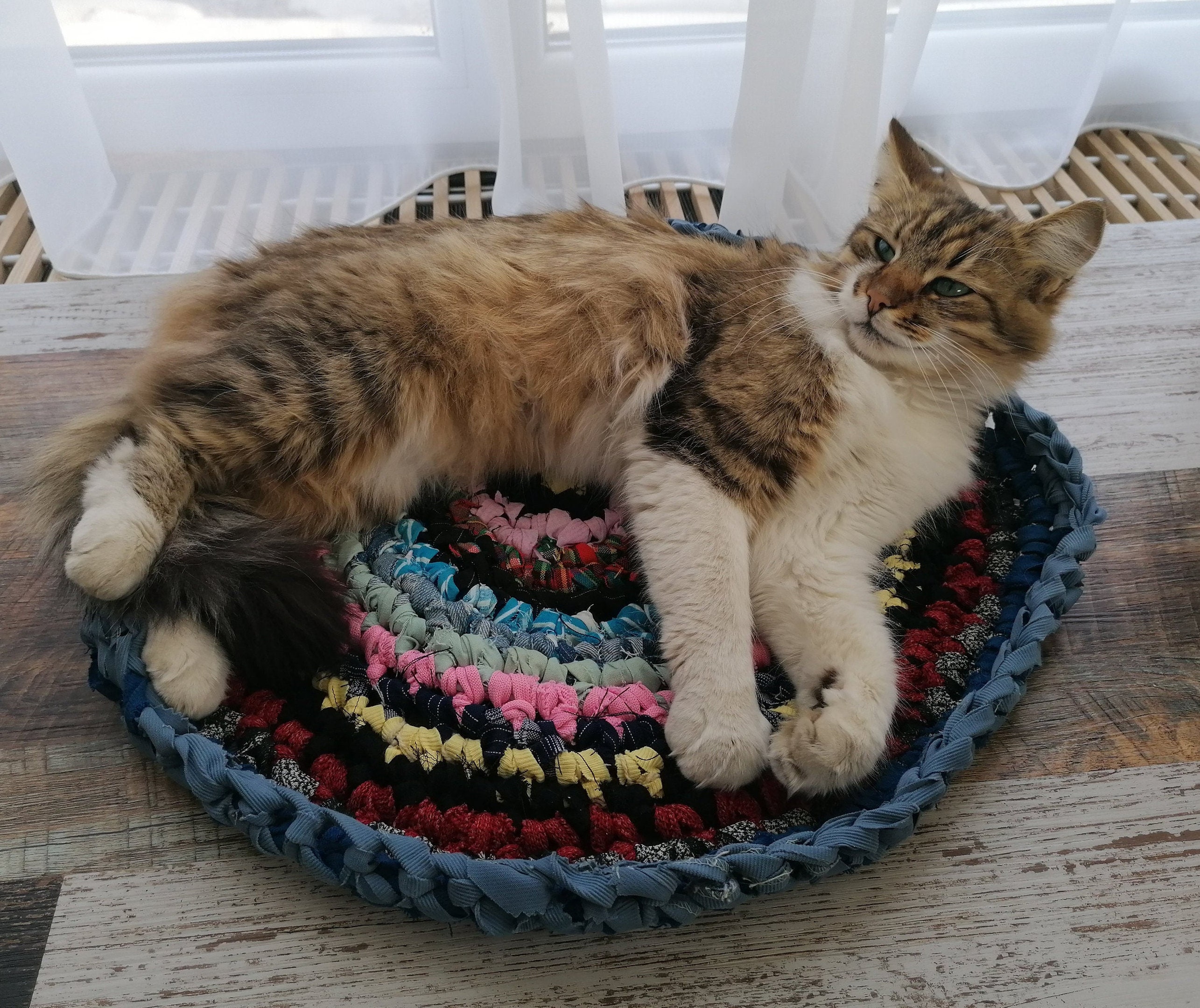 Cat Mat Cat Nip Funny Cat Mat Cat Mat Personalized Cat Play - Etsy