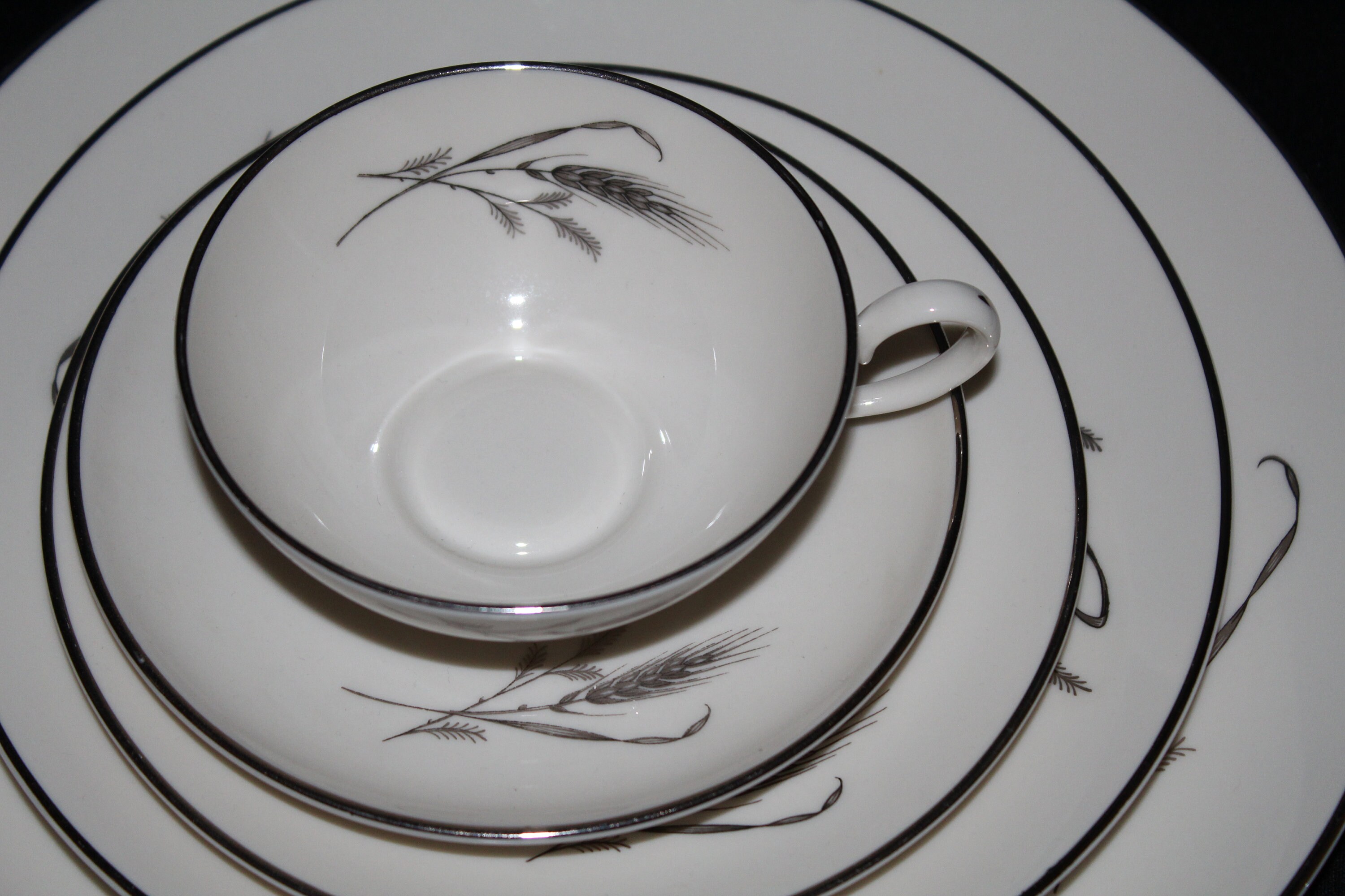 Gorgeous Society Fine China Harvest Time Set for 6 Plus Extras - Etsy
