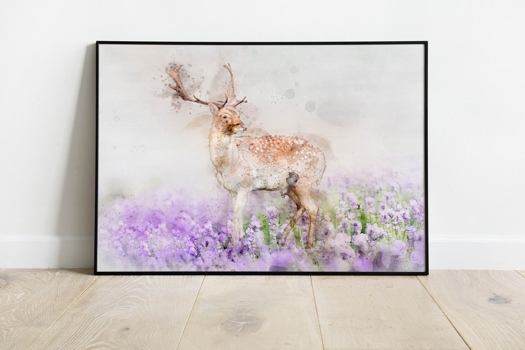 Fallow Deer Poster | Deer Watercolour | Fallow Deer Poster | Deer Art ...
