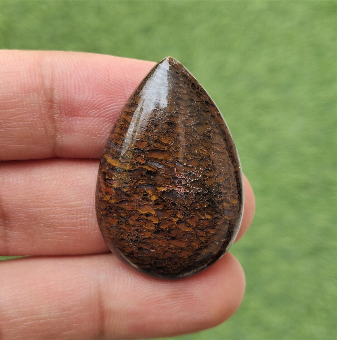 Genuine Dinosaur Bone Fossil - Rare Dinosaur Gembone Fossil Cabochon ...