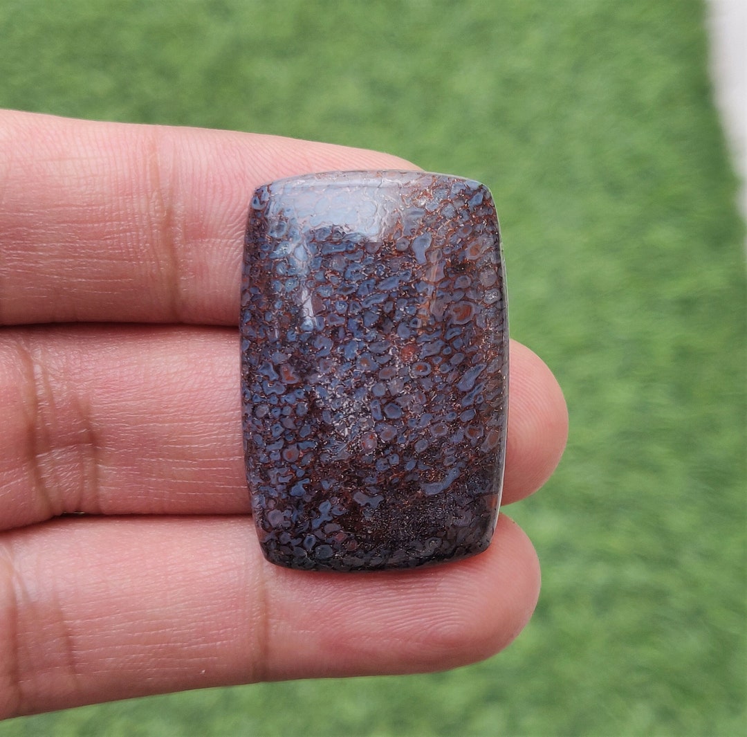 Genuine Dinosaur Bone Fossil - Rare Dinosaur Gembone Fossil Cabochon ...