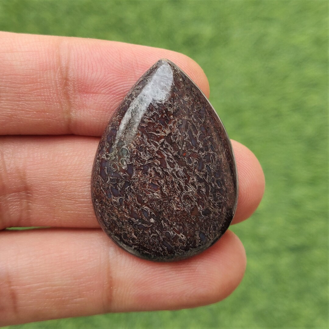 Genuine Dinosaur Bone Fossil - Rare Dinosaur Gembone Fossil Cabochon ...