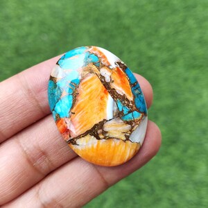 Blue Spiny Oyster Copper Turquoise 30x41mm Blue Spiny Oyster Cabochon ...
