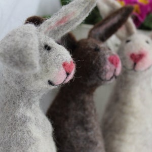 Der +Gute Laune Hase+ handgefilzte Osterdeko Hasen Mats+ Mia, Hans+ ...