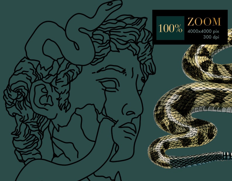 Medusa Gorgo Clipart Snake Stickers Greece Mythology Snake - Etsy