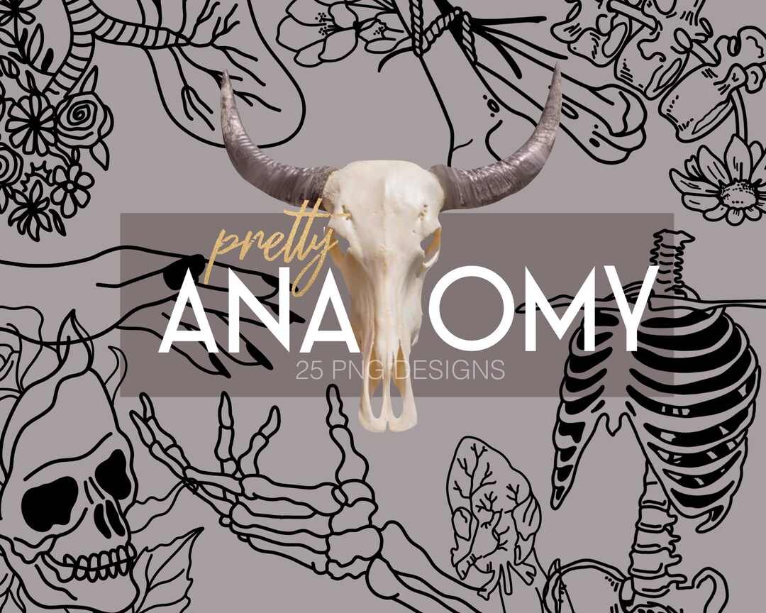Anatomy Clip Art, Clipart, Wizard Skull, Magic School, Skeleton Clip ...