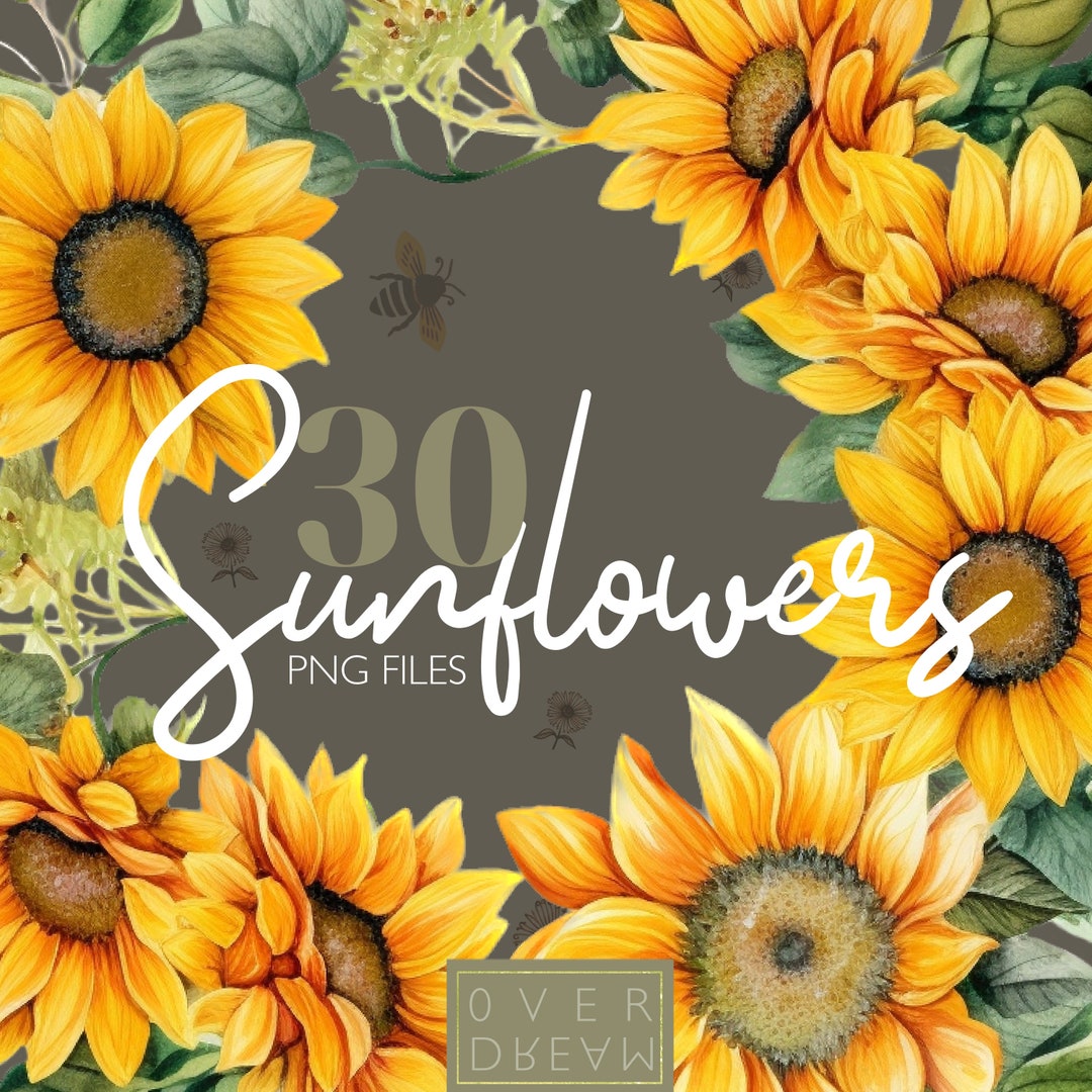 Watercolor SUNFLOWER Clip Art, Flower Decor, Sunflower Printable ...