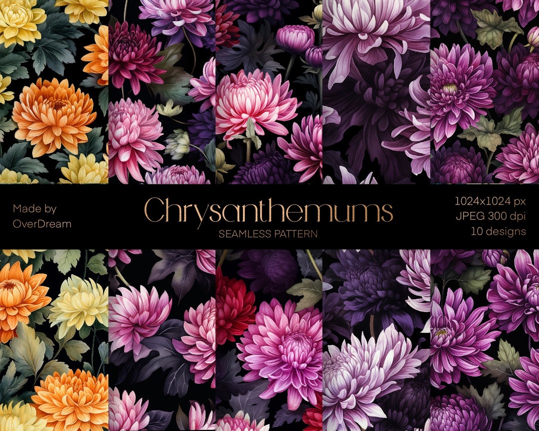 Chrysanthemum Digital Paper, Chrysanthemum Flower Seamless Pattern ...
