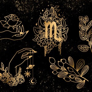 ZODIAC Clip Art, Scorpio Constellation , Astrology Clip Art, Liner Draw ...