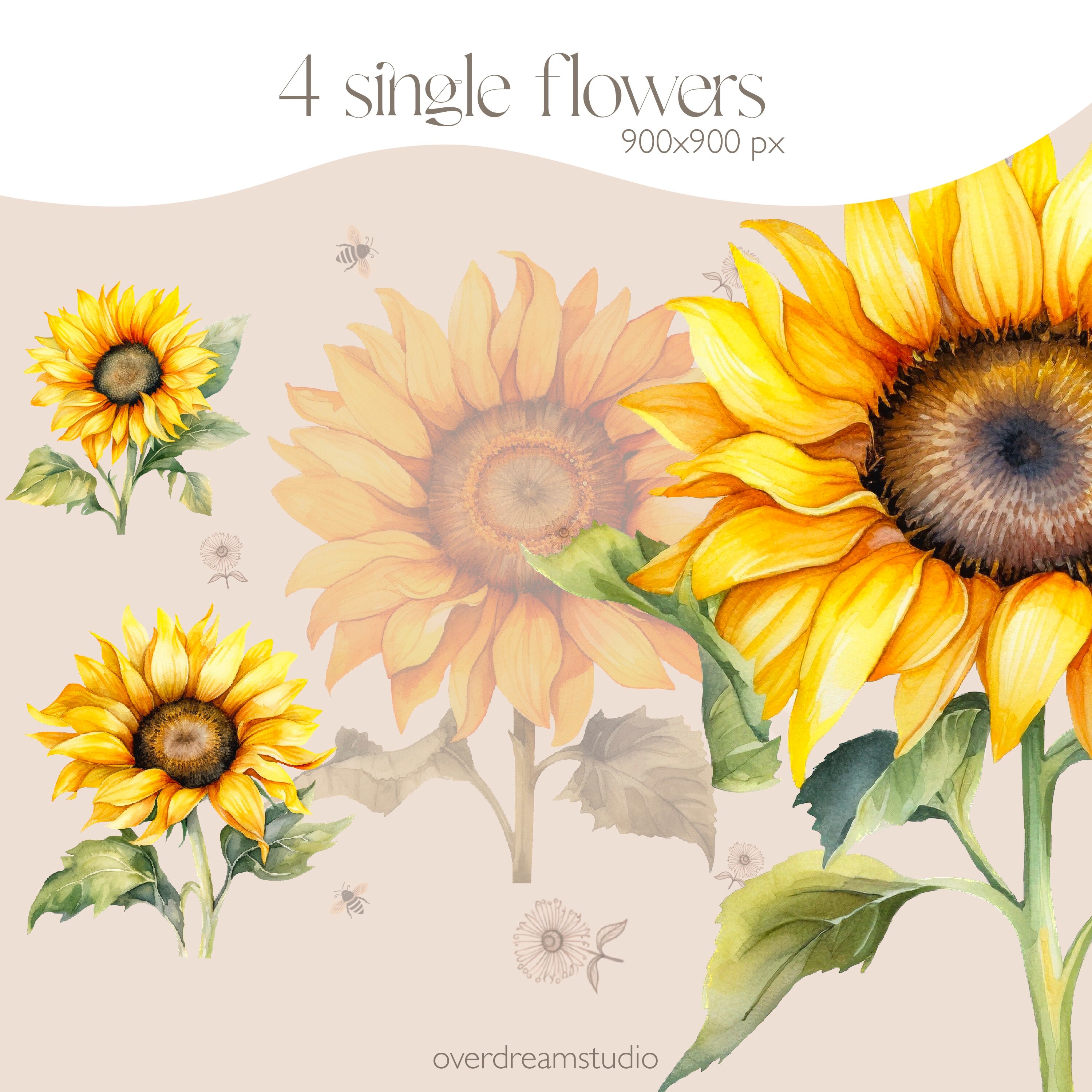 Watercolor SUNFLOWER Clip Art, Flower Decor, Sunflower Printable ...