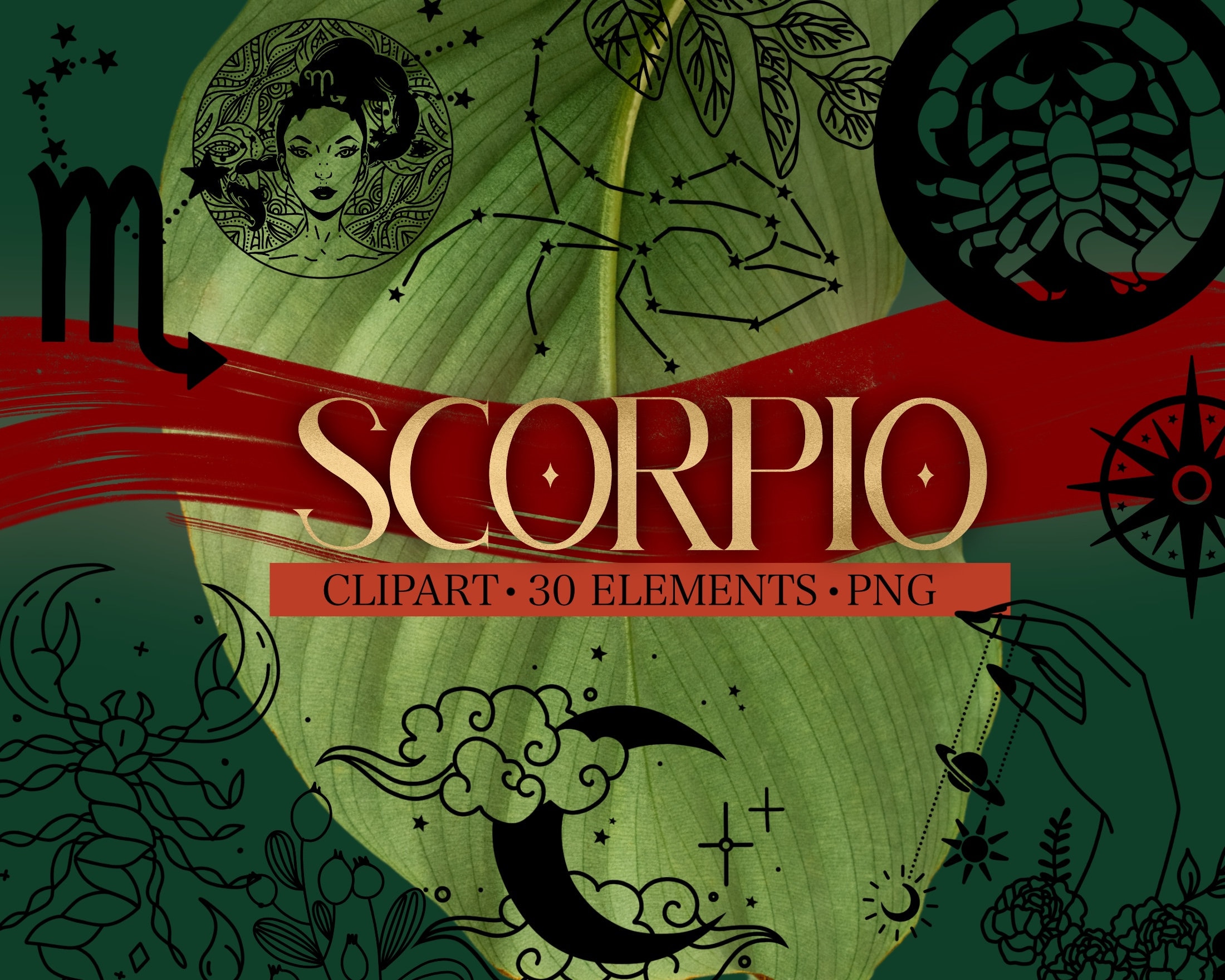 ZODIAC Clip Art, Scorpio Constellation , Astrology Clip Art, Liner Draw ...