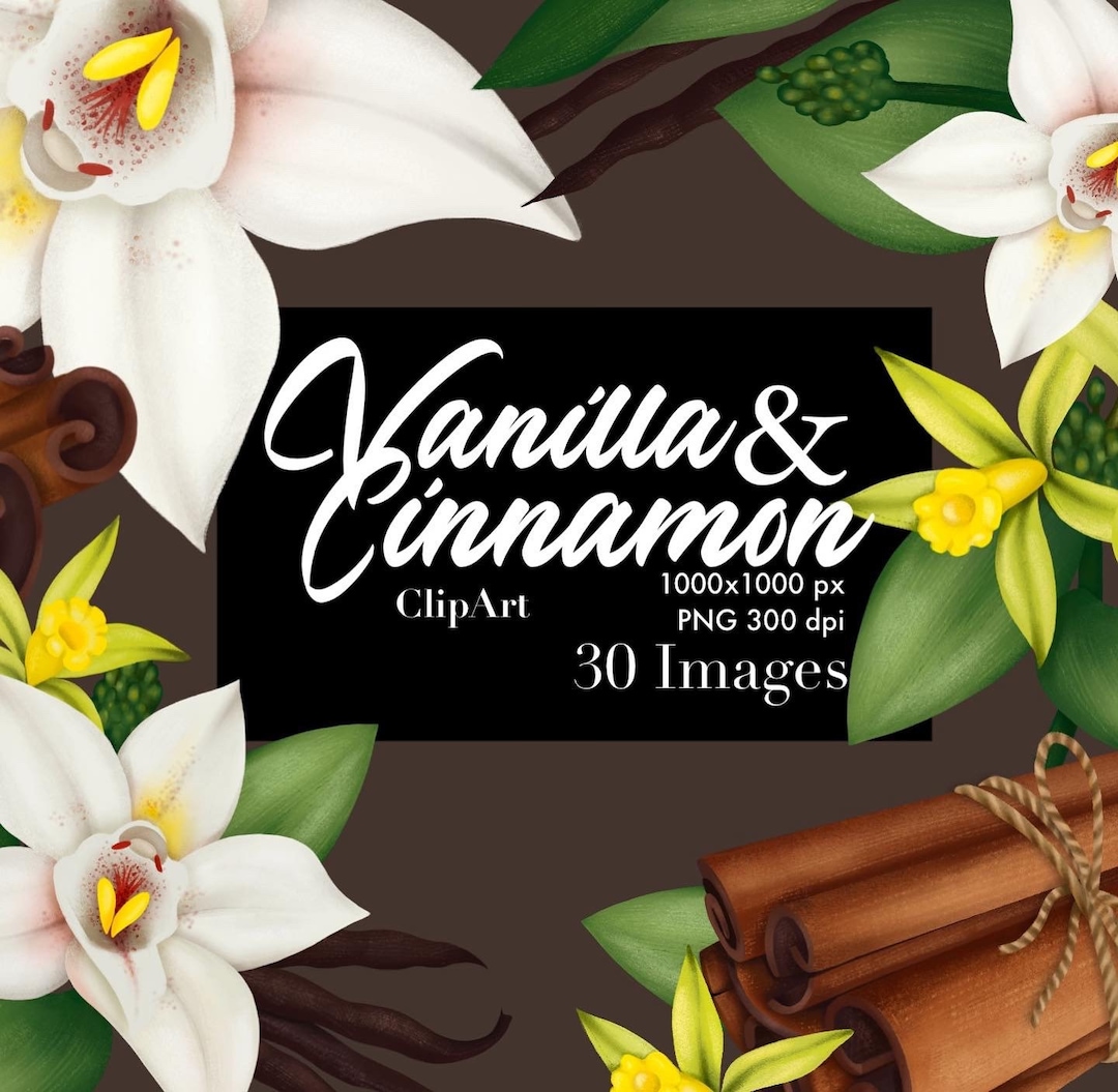 Cinnamon and Vanilla Set, Kitchen Decor, Spices Clip Art, Vanilla ...