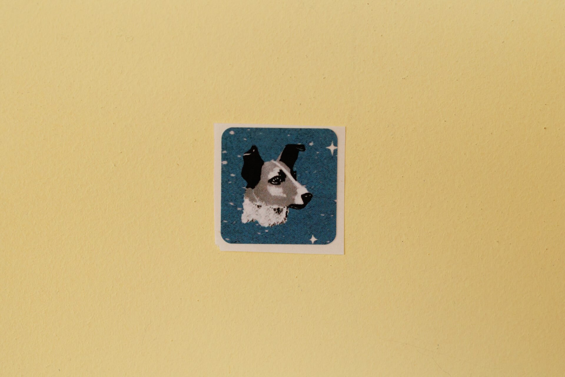 MINI Laika Space Dog Sticker Set | Laika Portrait Sticker USSR, CCCP ...