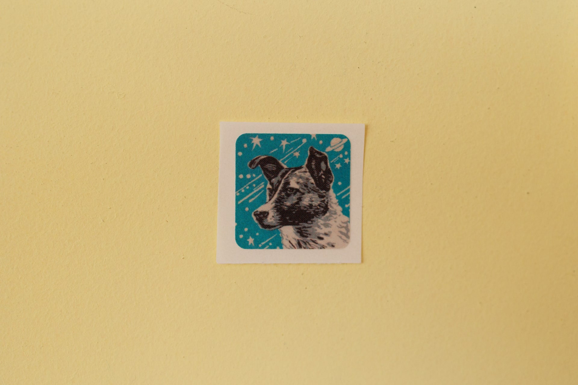 MINI Laika Space Dog Sticker Set | Laika Portrait Sticker USSR, CCCP ...