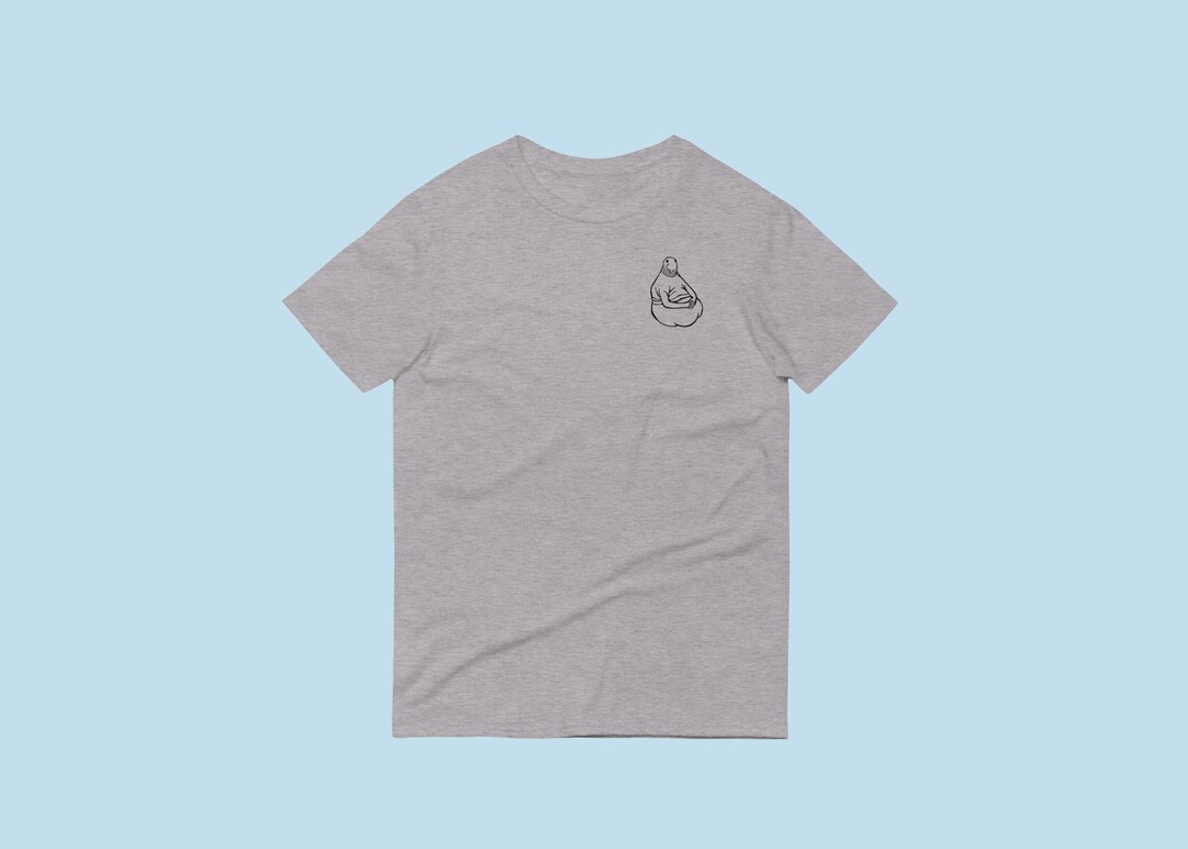 Simple Zhdun Tee Shirt / Snorp / Awaiter / Shoulder Zhdun / - Etsy