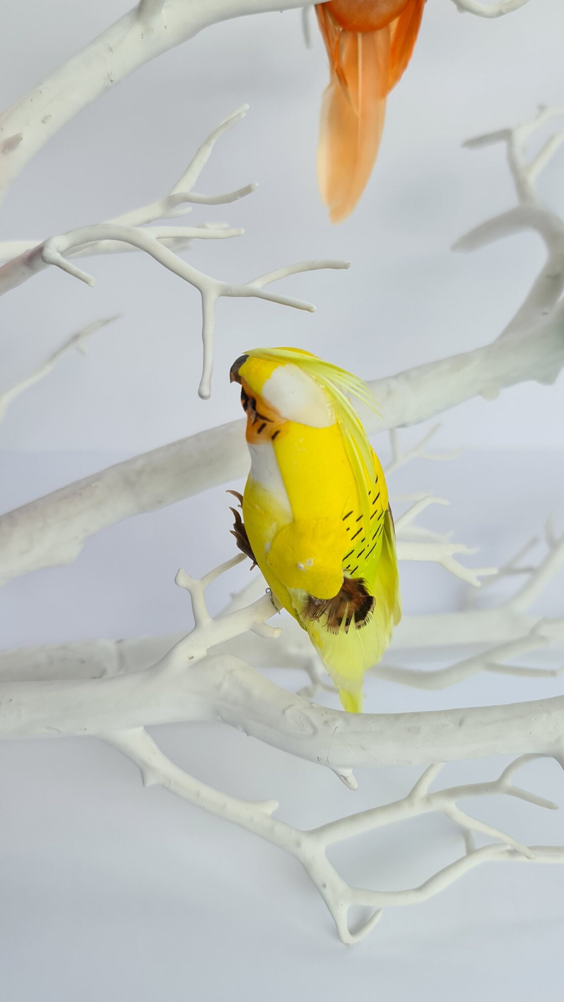 6 Rainbow Artificial Foam Feather Tropical Parrot Craft Birds - Etsy