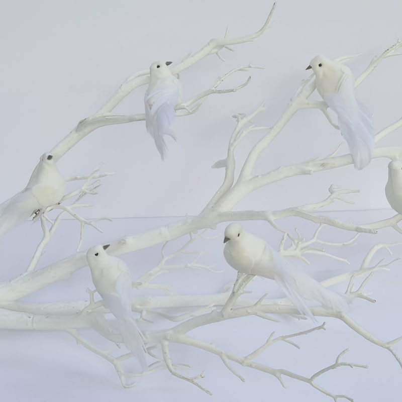 Peace Dove Garden - Etsy UK